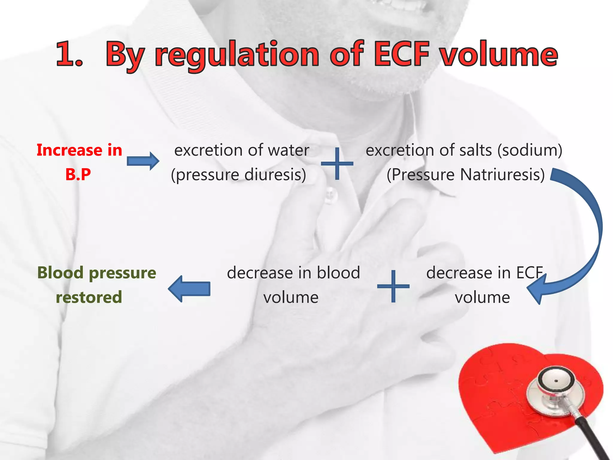 Regulation of blood pressure | PPTX