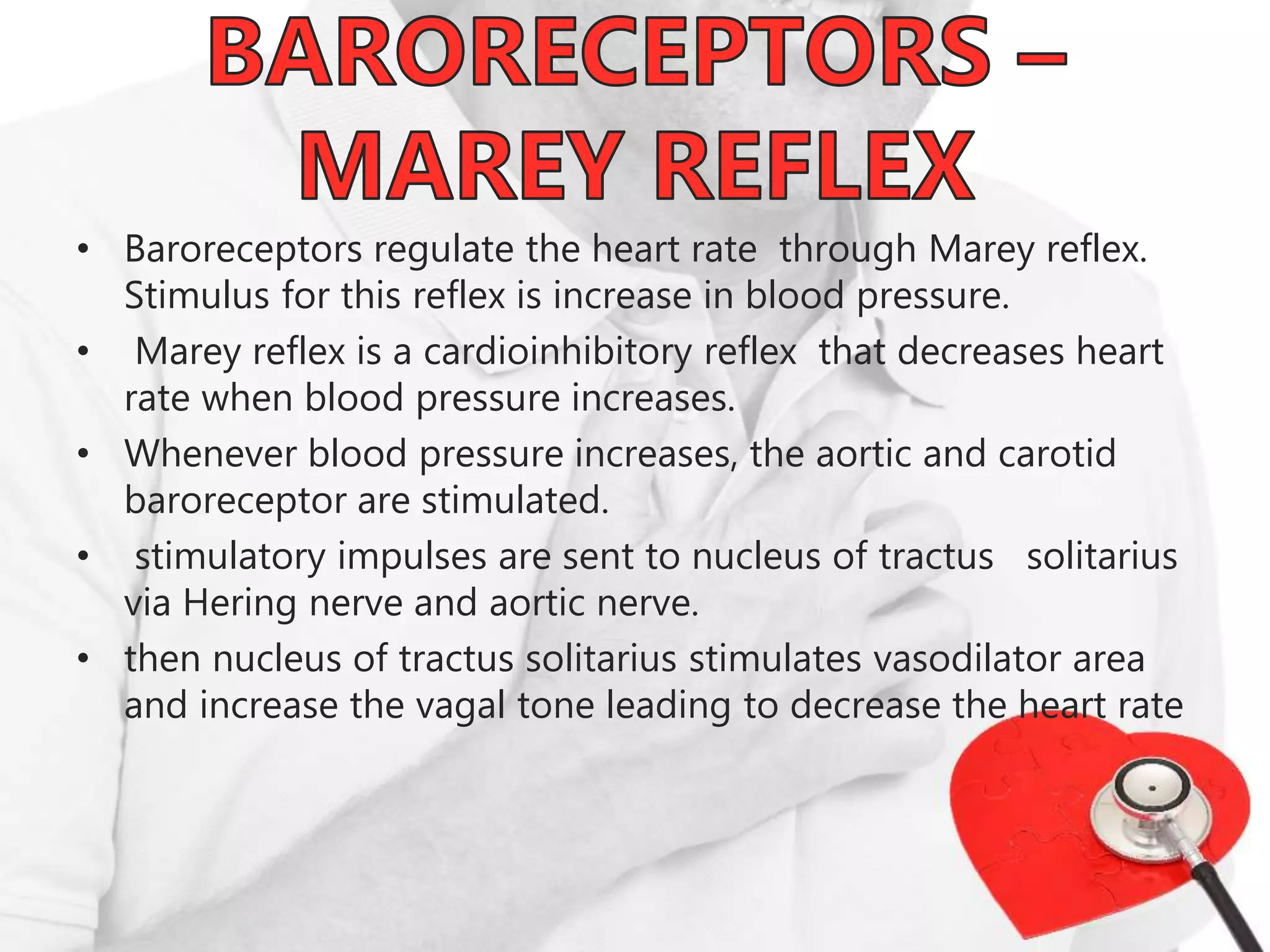 Regulation of blood pressure | PPTX