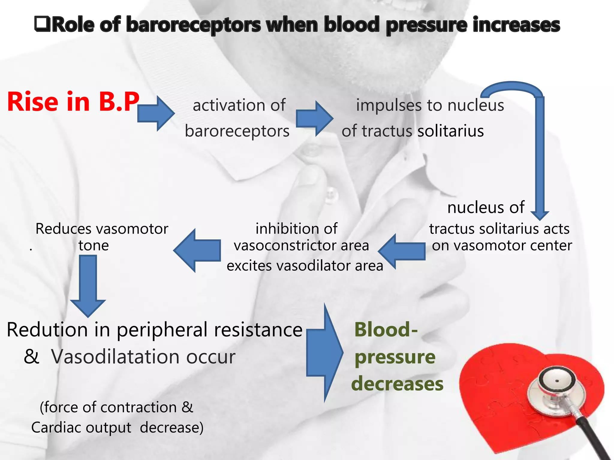 Regulation of blood pressure | PPTX