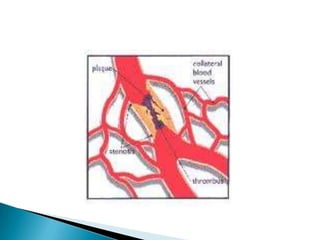 Regulation of blood circulation | PPTX