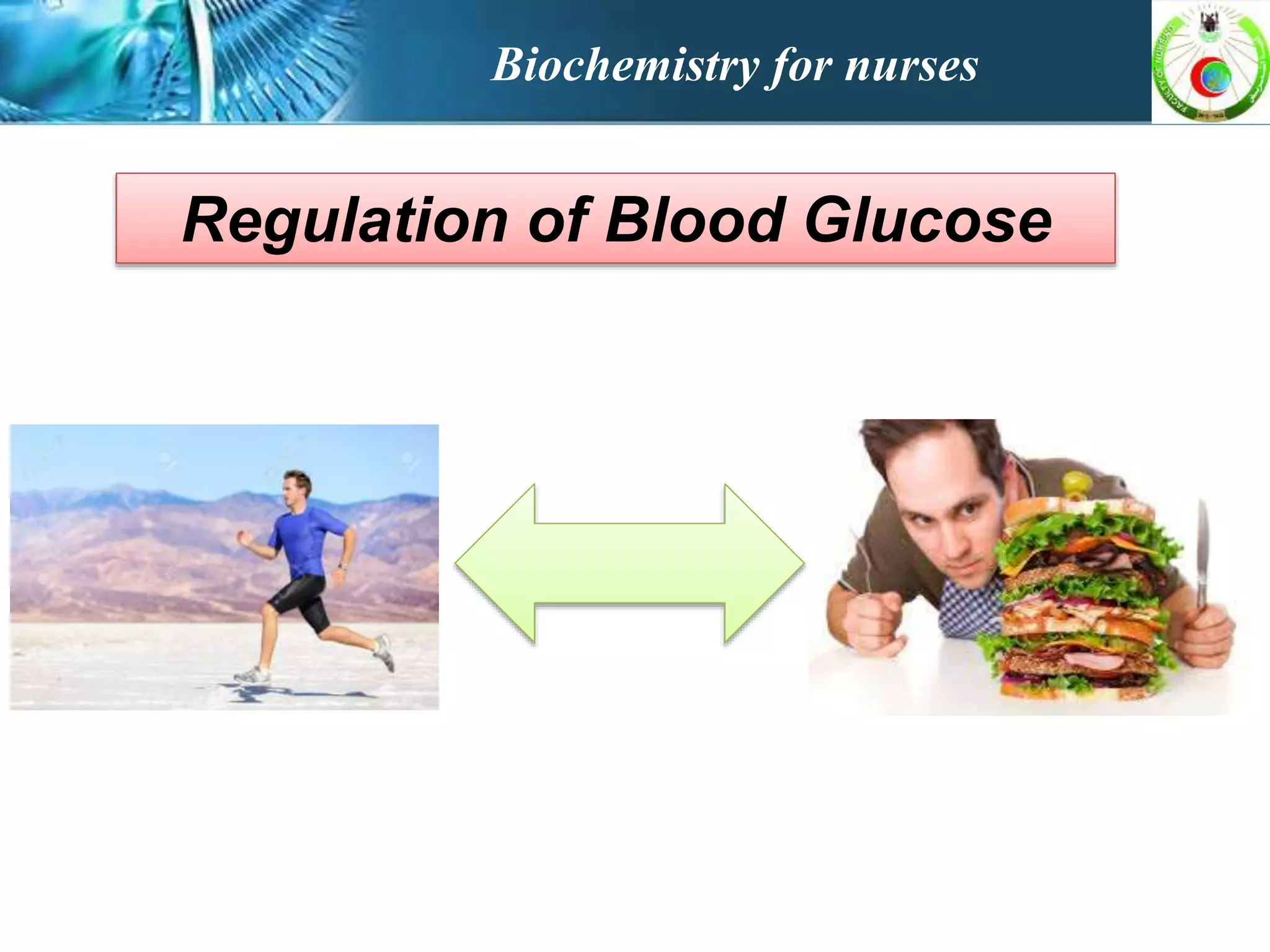 Regulation of blood glucose | PPTX