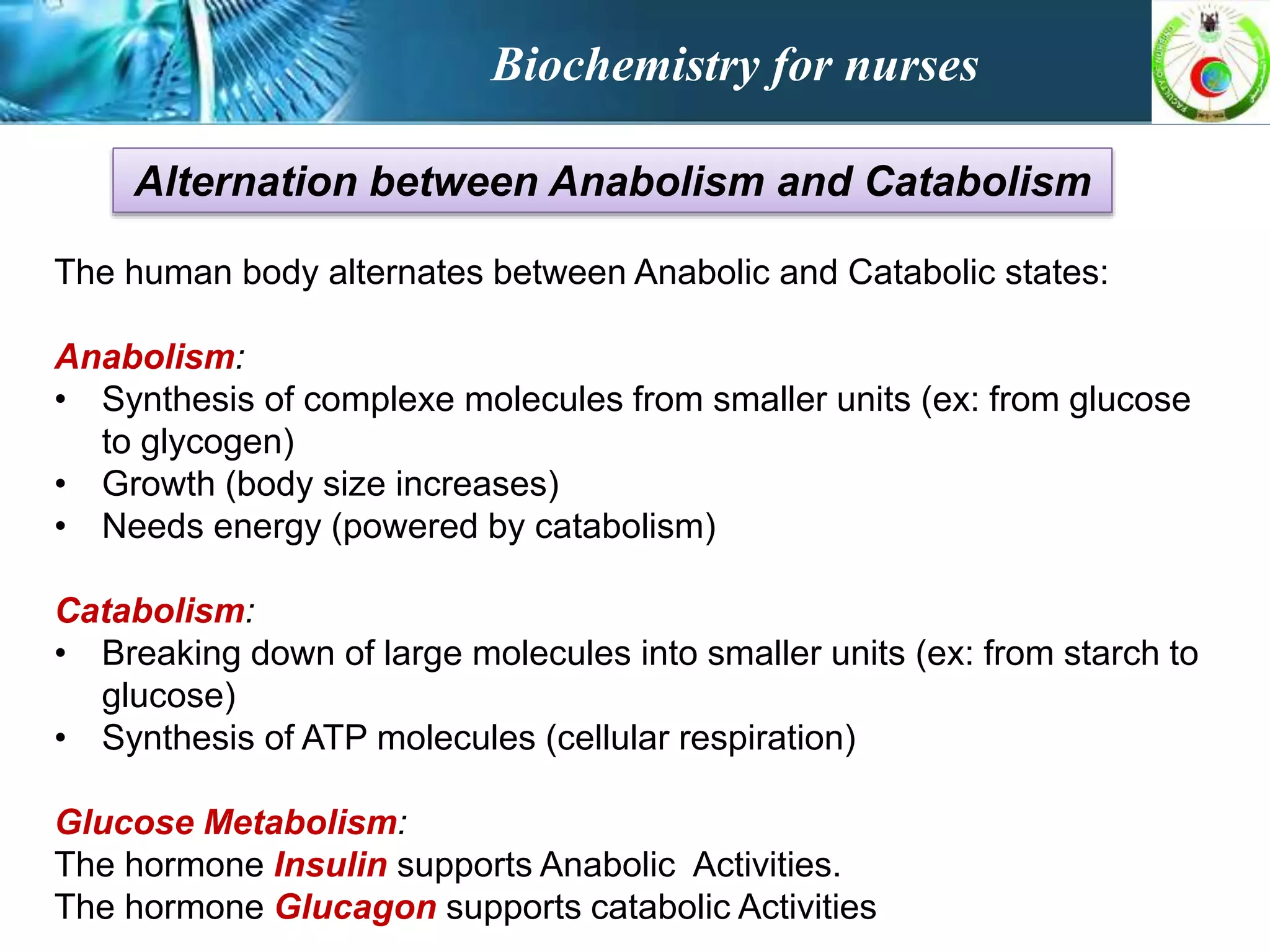 Regulation of blood glucose | PPTX