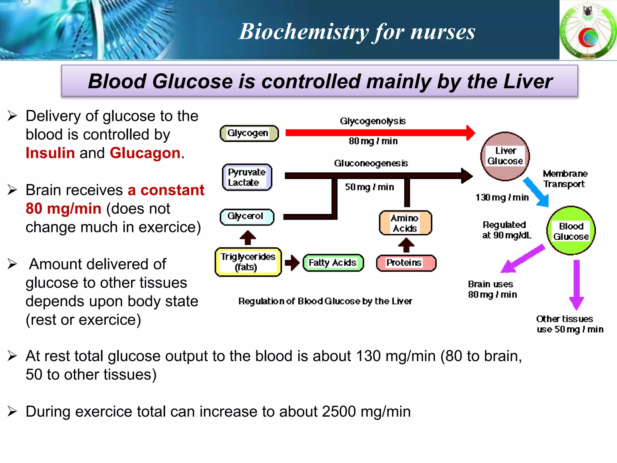 Regulation of blood glucose | PPTX