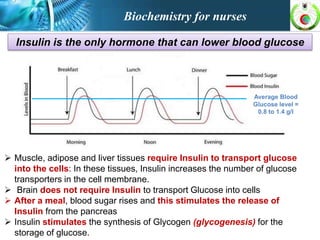 Regulation of blood glucose | PPTX