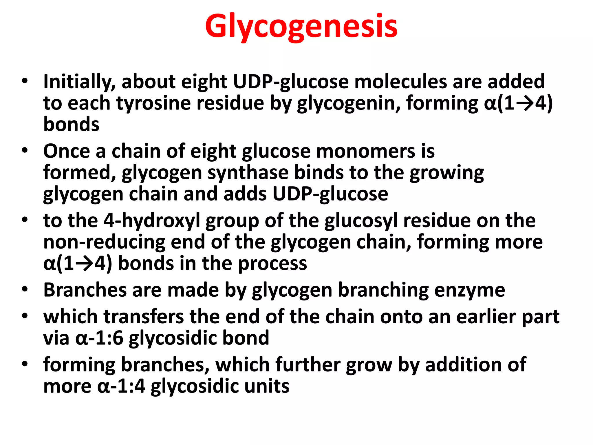 Regulation of blood glucose | PPTX