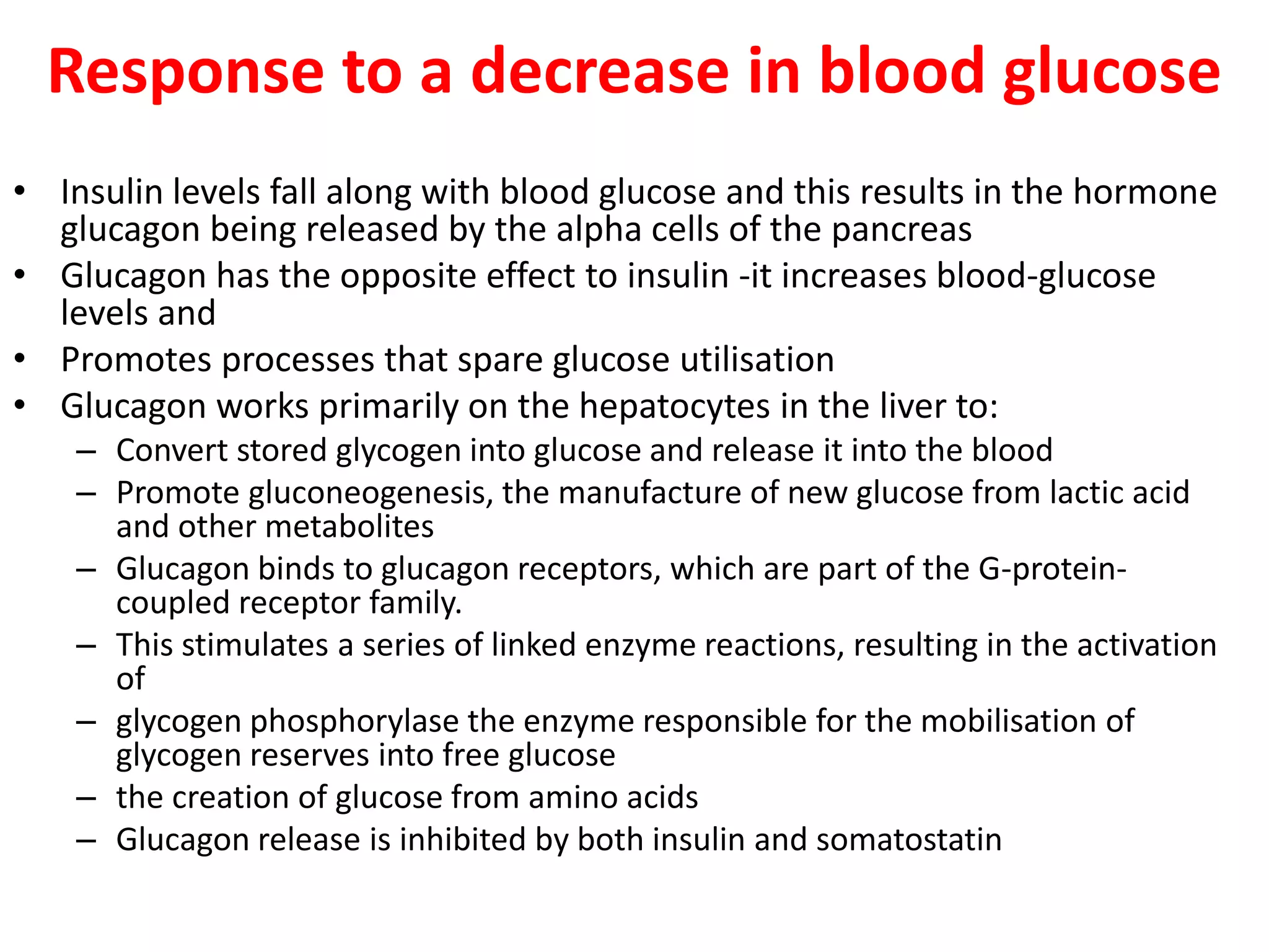 Regulation of blood glucose | PPTX