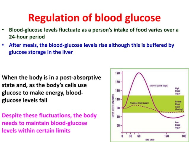 Regulation of blood glucose | PPTX | Endocrine and Metabolic Diseases ...