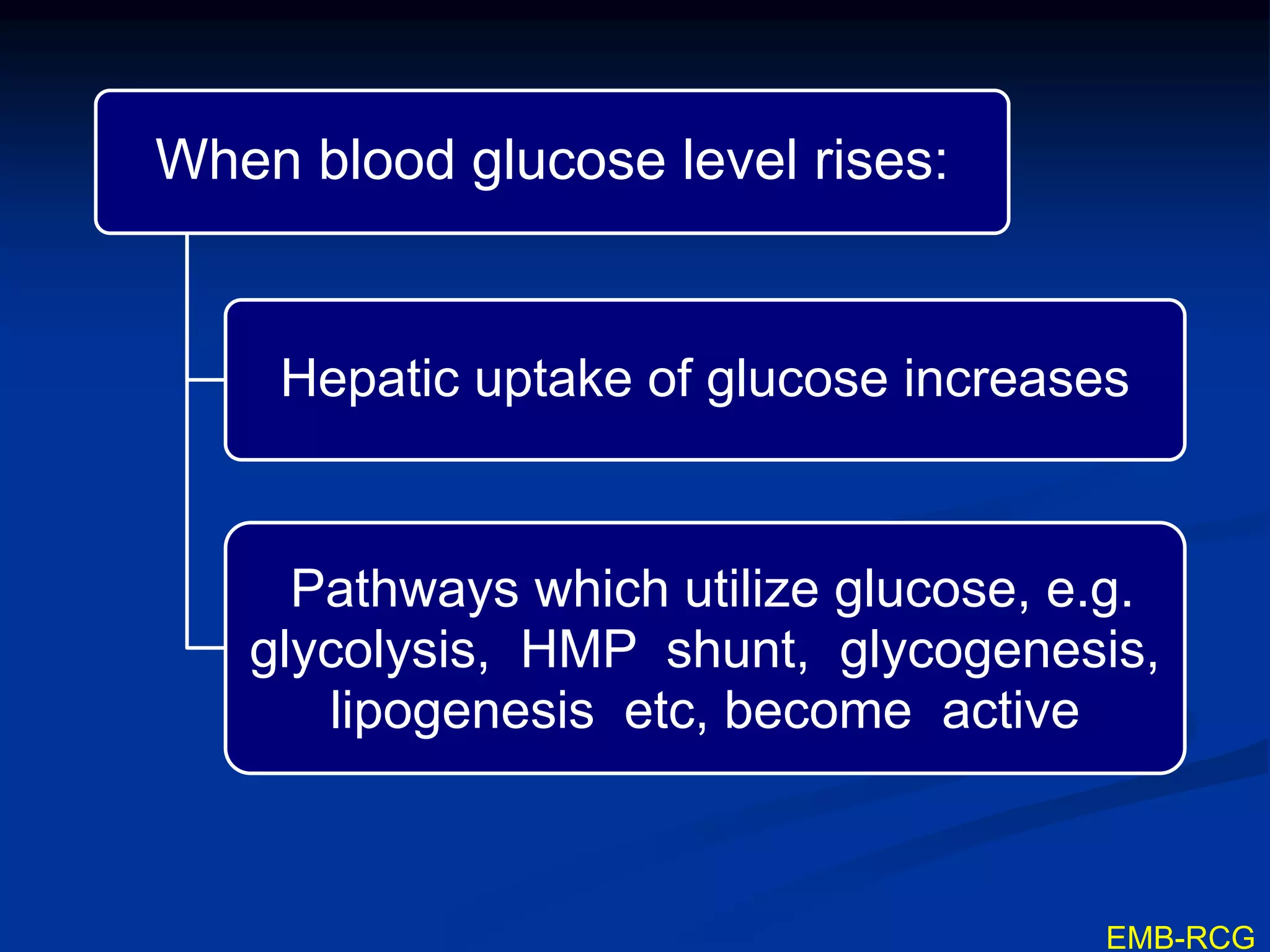 Regulation of blood glucose concentration | PPTX