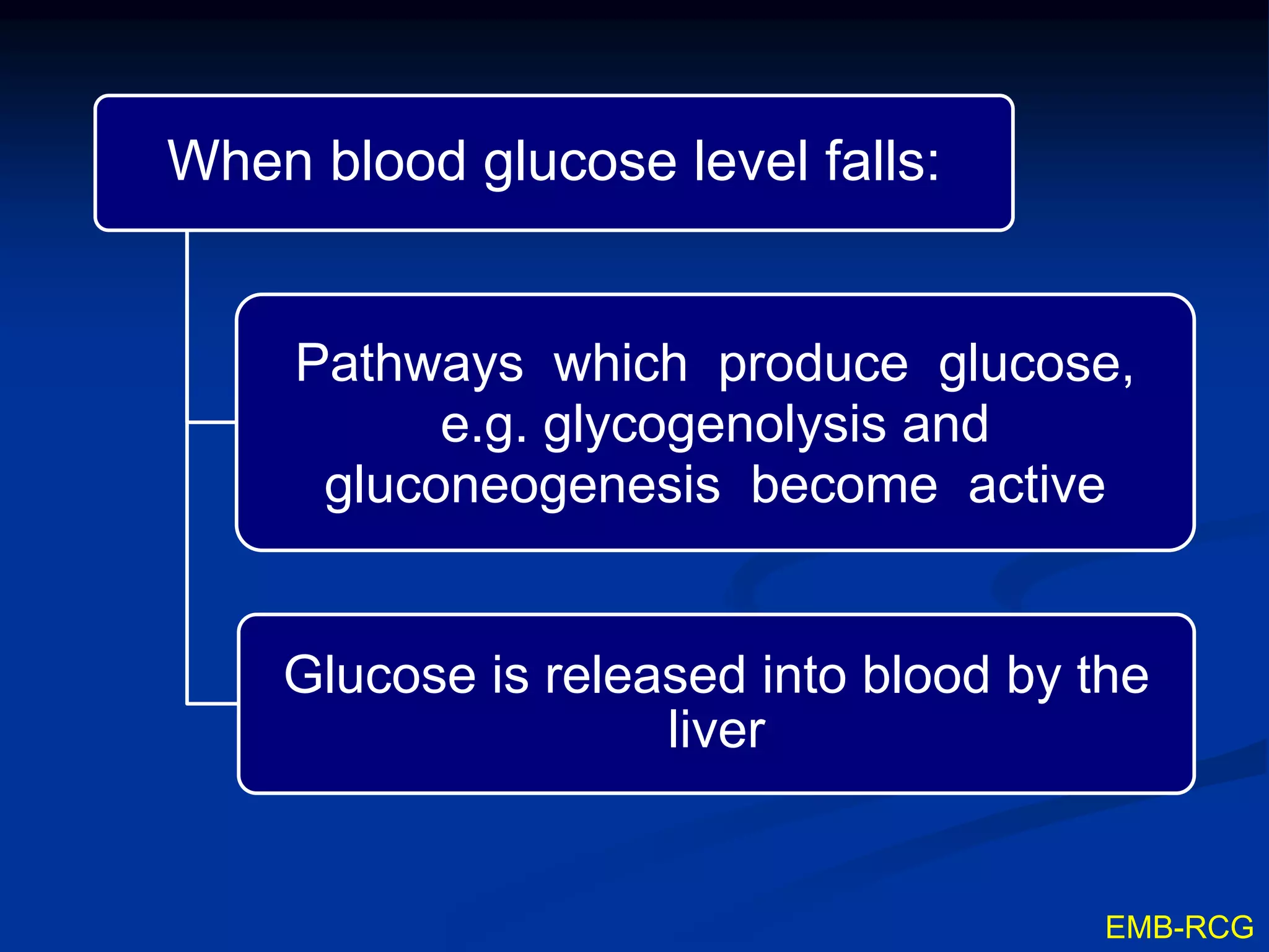 Regulation of blood glucose concentration | PPTX
