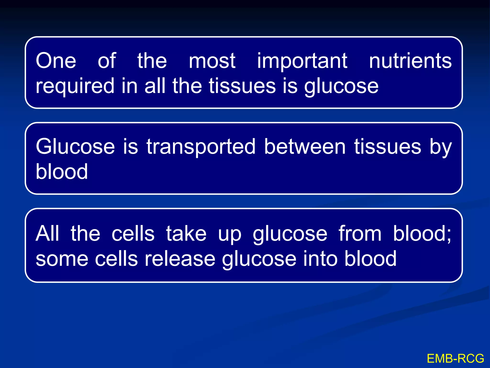 Regulation of blood glucose concentration | PPTX