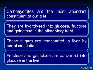 Regulation of blood glucose concentration | PPTX