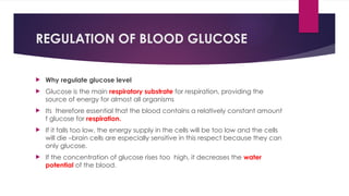 Regulation of blood glucose lesson , human physiology | PPTX