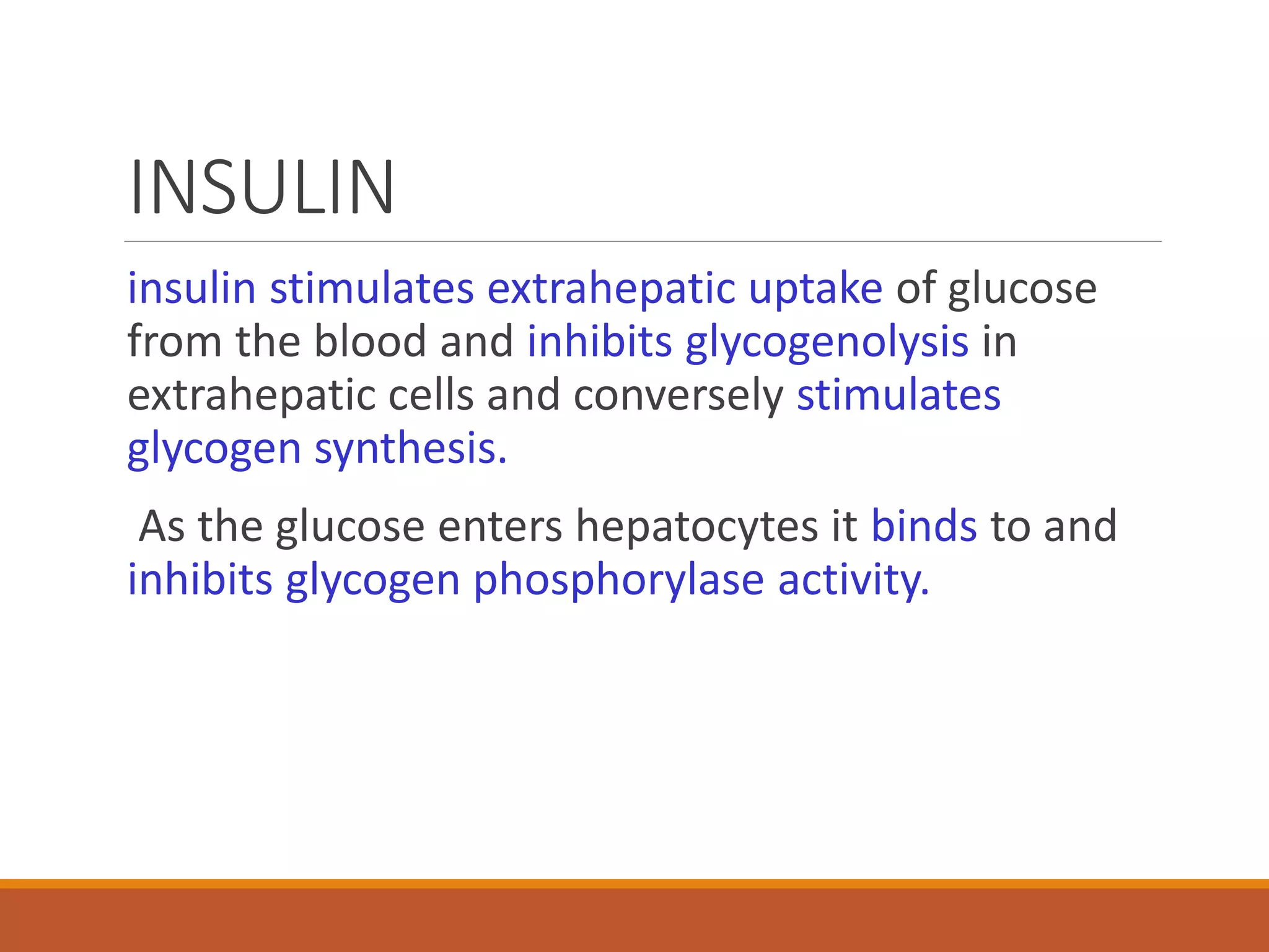 Regulation of blood glucose level | PPT
