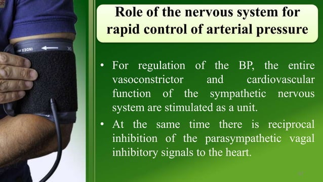 Regulation of blood pressure | PPTX