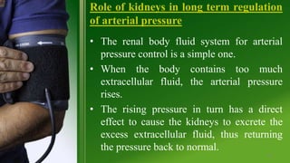 Regulation of blood pressure | PPTX