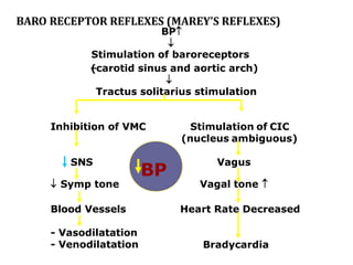 REGULATION OF BLOOD PRESSURE -2.pptx | Heart and Cardiovascular ...