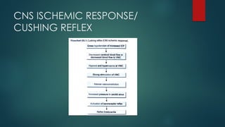 REGULATION OF BLOOD PRESSURE AND IT'S USES IN VARIOUS ASPECTS.pptx