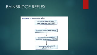 REGULATION OF BLOOD PRESSURE AND IT'S USES IN VARIOUS ASPECTS.pptx
