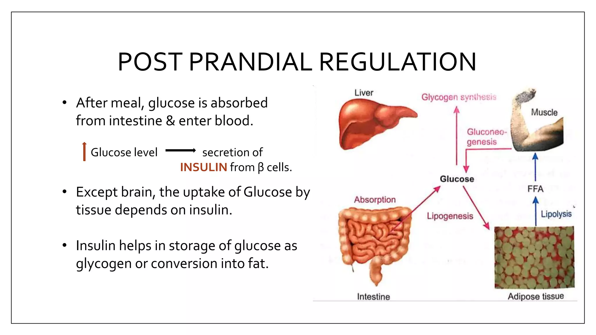 Regulation of blood sugar | PPTX