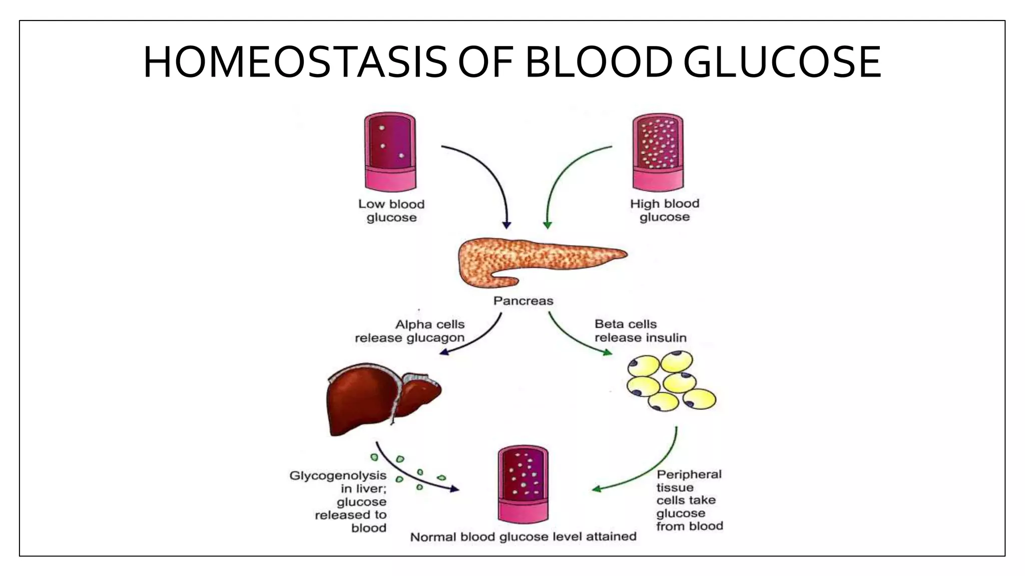 Regulation of blood sugar | PPTX