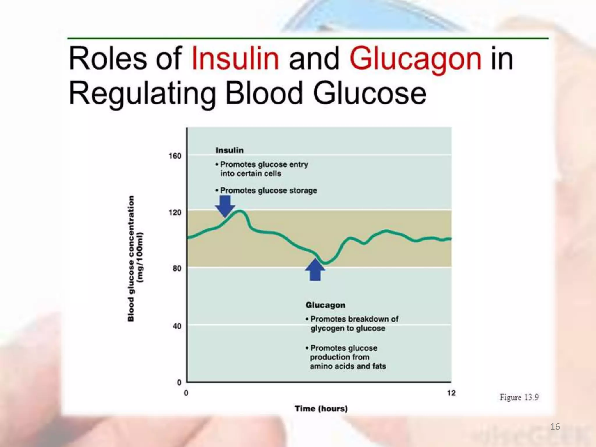 Regulation of blood sugar | PPTX