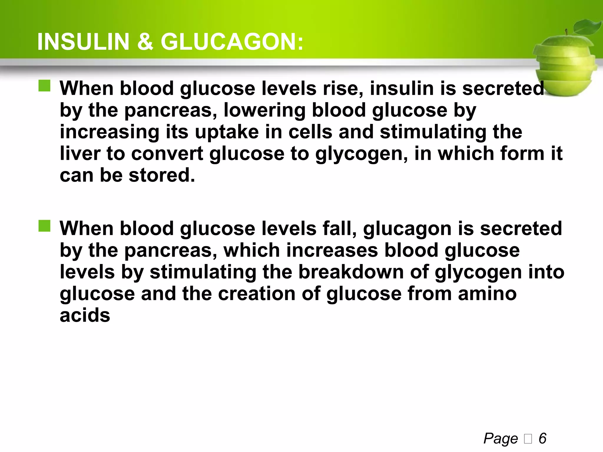 Regulation of body glucose | PPT