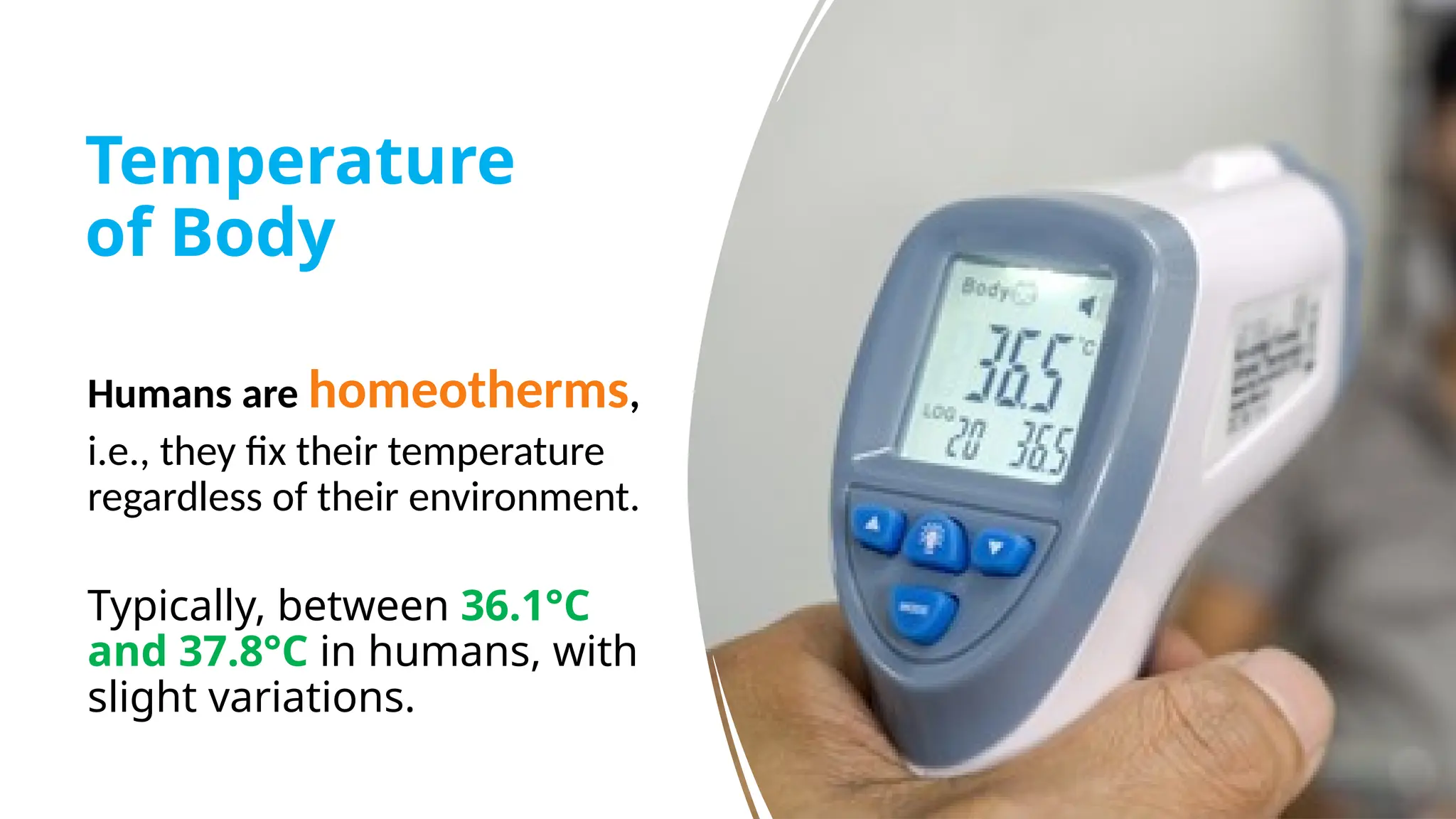 Regulation of Body Temperature (Thermoregulation) | PPTX