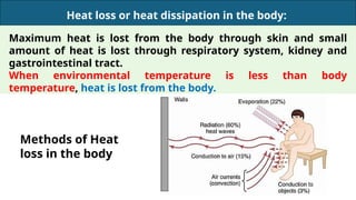 Regulation of Body Temperature (Thermoregulation) | PPTX