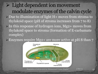 Regulation of calvin cycle | PPTX