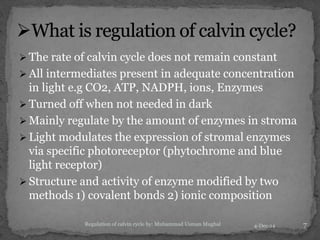 Regulation of calvin cycle | PPTX
