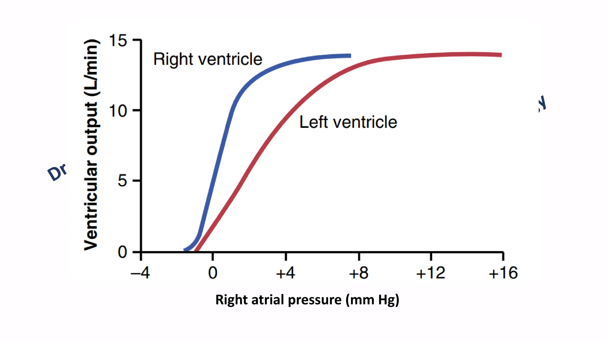 Cardiovascular Physiology - Regulation of Cardiac Pumping | PDF