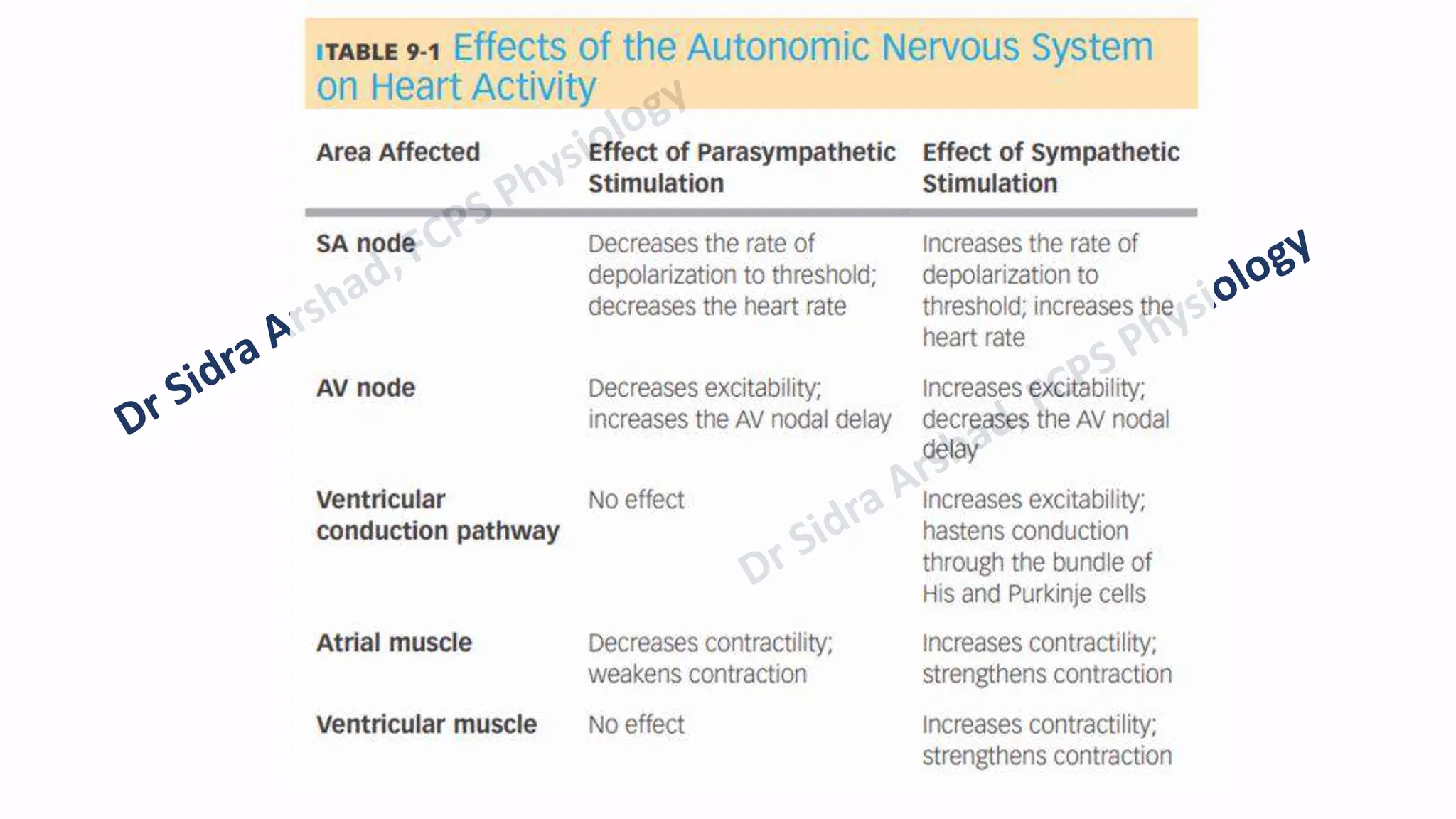 Cardiovascular Physiology - Regulation of Cardiac Pumping | PDF