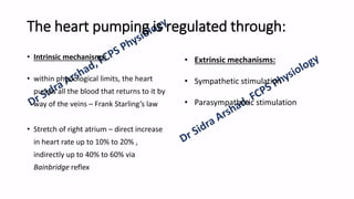 Cardiovascular Physiology - Regulation of Cardiac Pumping | PDF