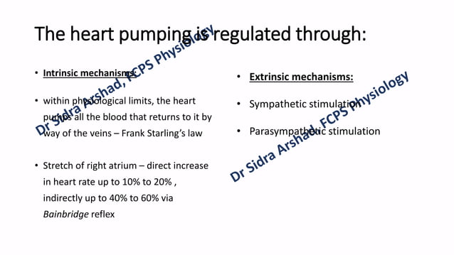 Cardiovascular Physiology - Regulation of Cardiac Pumping | PDF