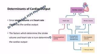 Cardiovascular Physiology - Regulation of Cardiac Pumping | PDF