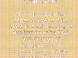 Regulation of cell cycle (1) | PPTX