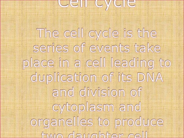 Regulation of cell cycle (1) | PPTX