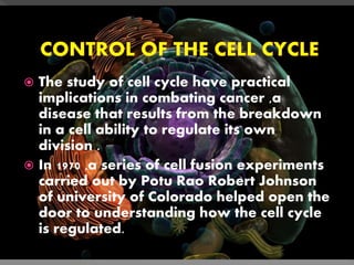 Regulation of cell cycle (1) | PPTX