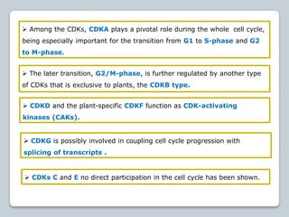 Regulation of cell cycle and cell division | PPTX