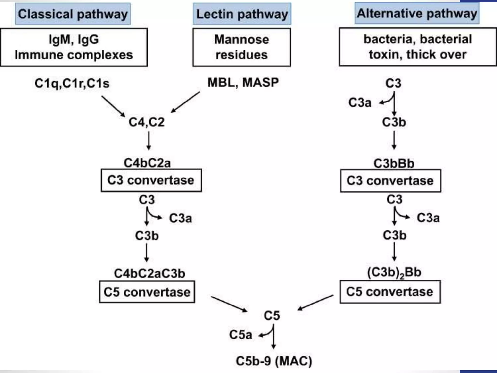 Regulation of complement system | PPTX
