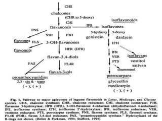 Regulation of defense flavonoid formation in legumes | PPT