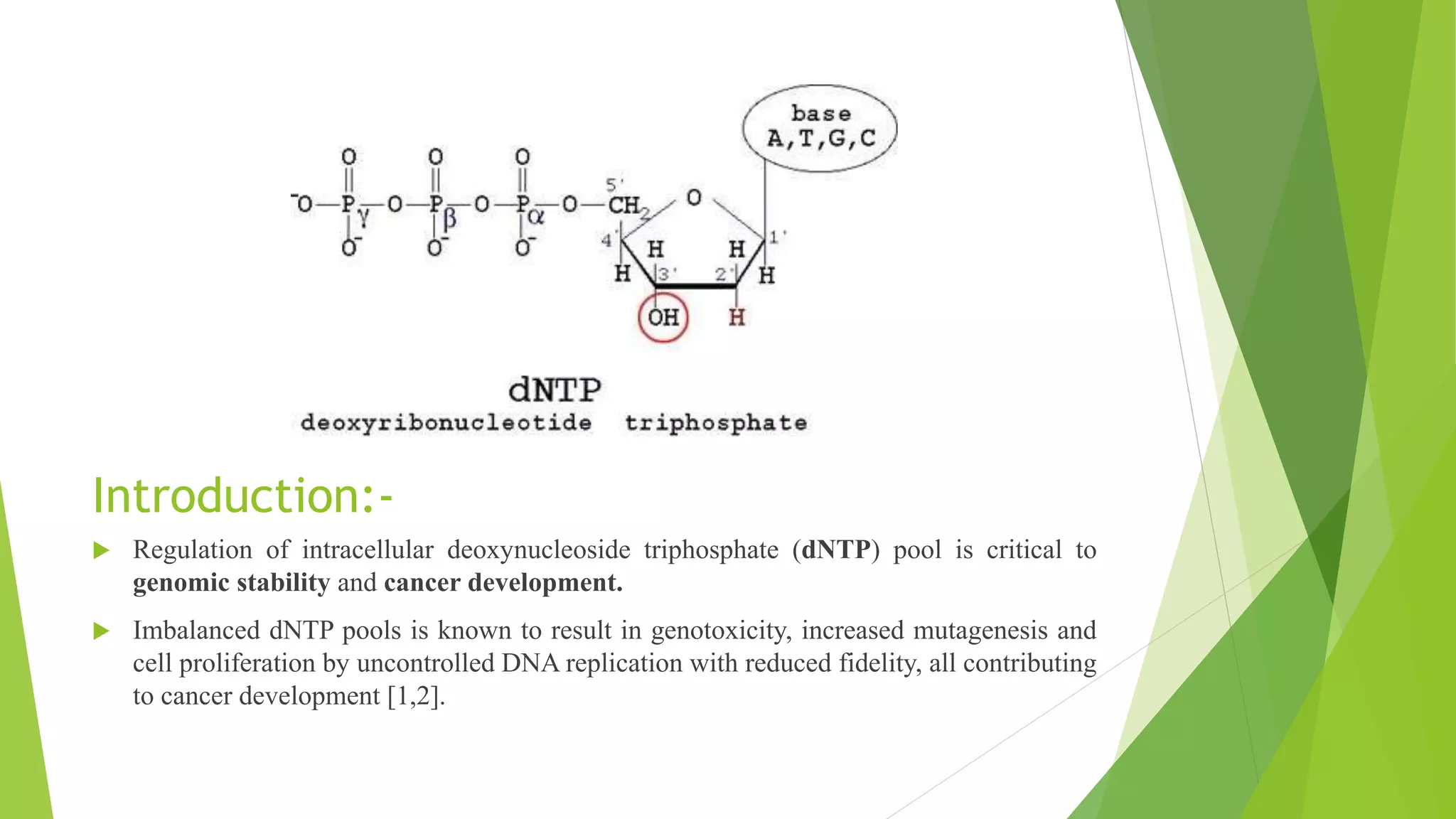 Regulation Of Deoxynucleotide Metabolism Pptx
