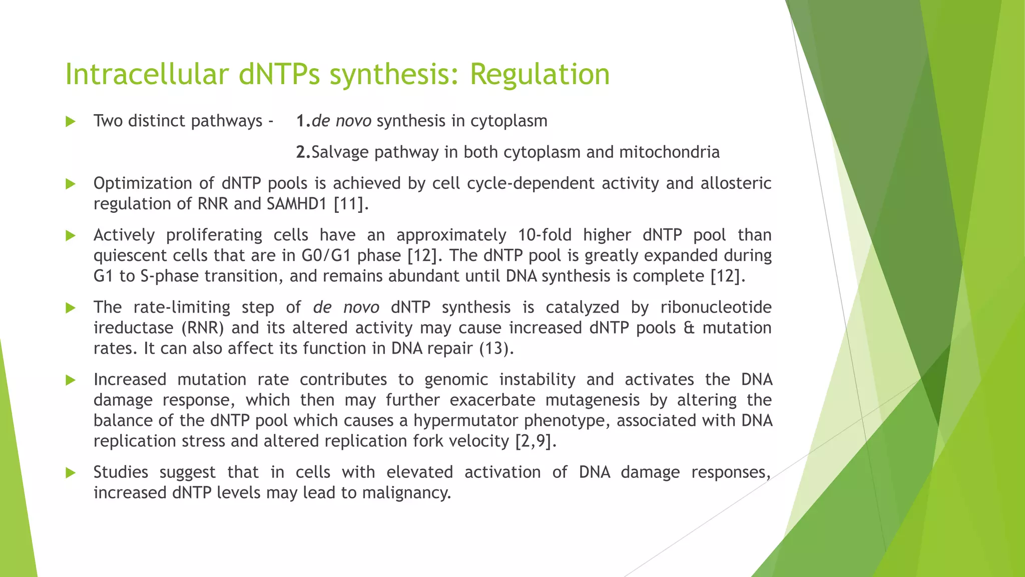 Regulation Of Deoxynucleotide Metabolism Pptx