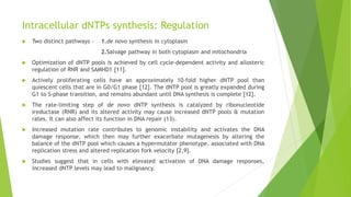 Regulation of deoxynucleotide metabolism | PPTX | Endocrine and ...