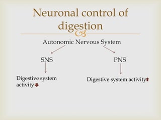 Regulation of digestion | PPTX