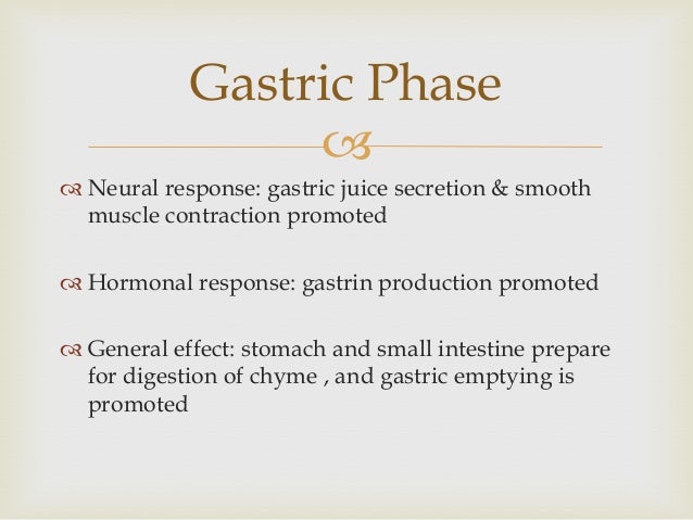 Regulation of digestion