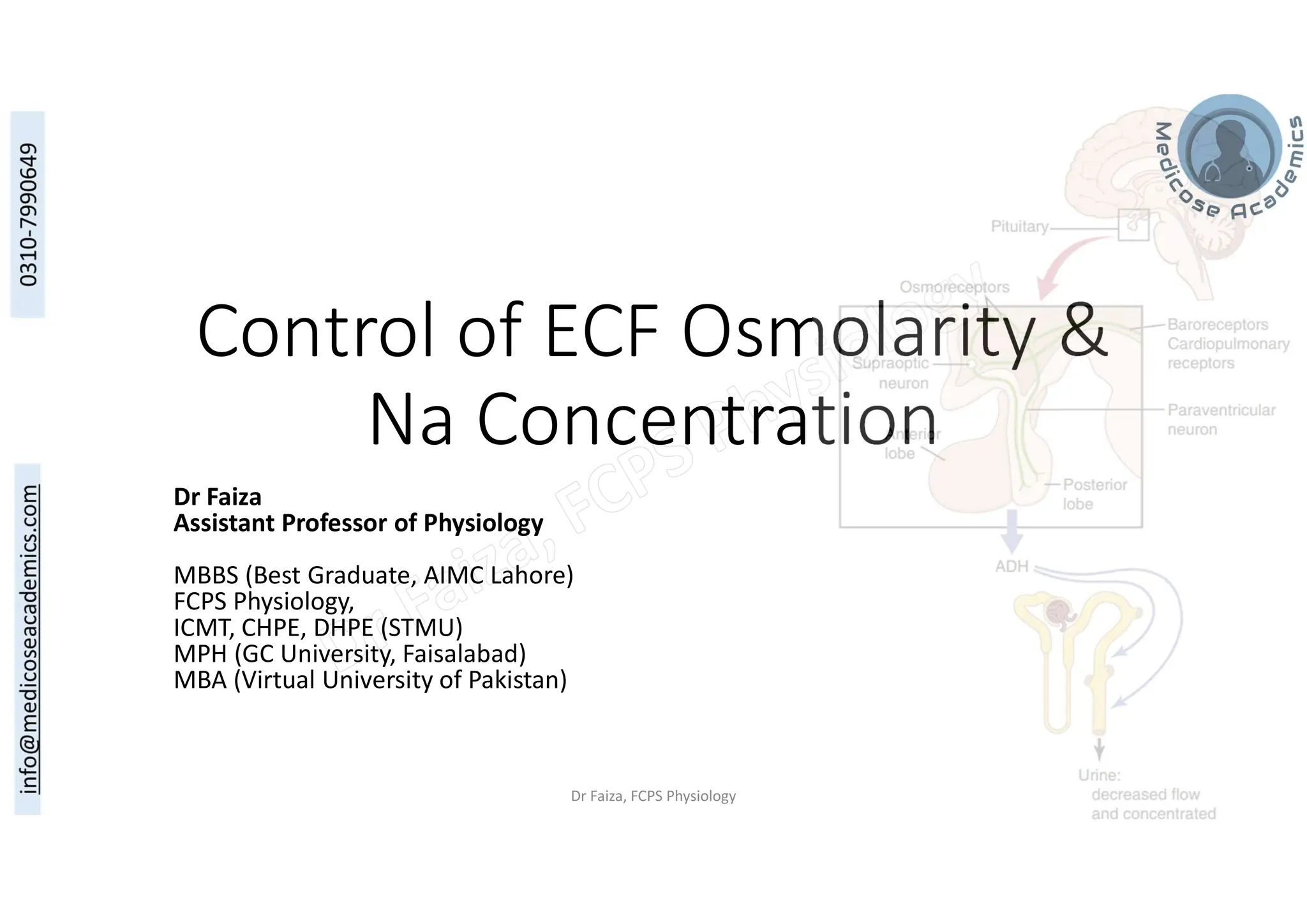 regulation of ECF Osmolarity and Fluid Volume | PDF