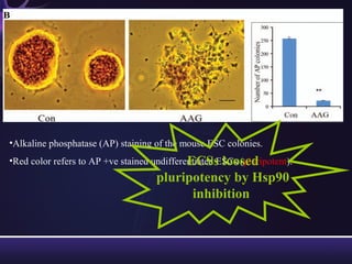 Regulation of embryonic stem cell pluripotency by heat | PPT