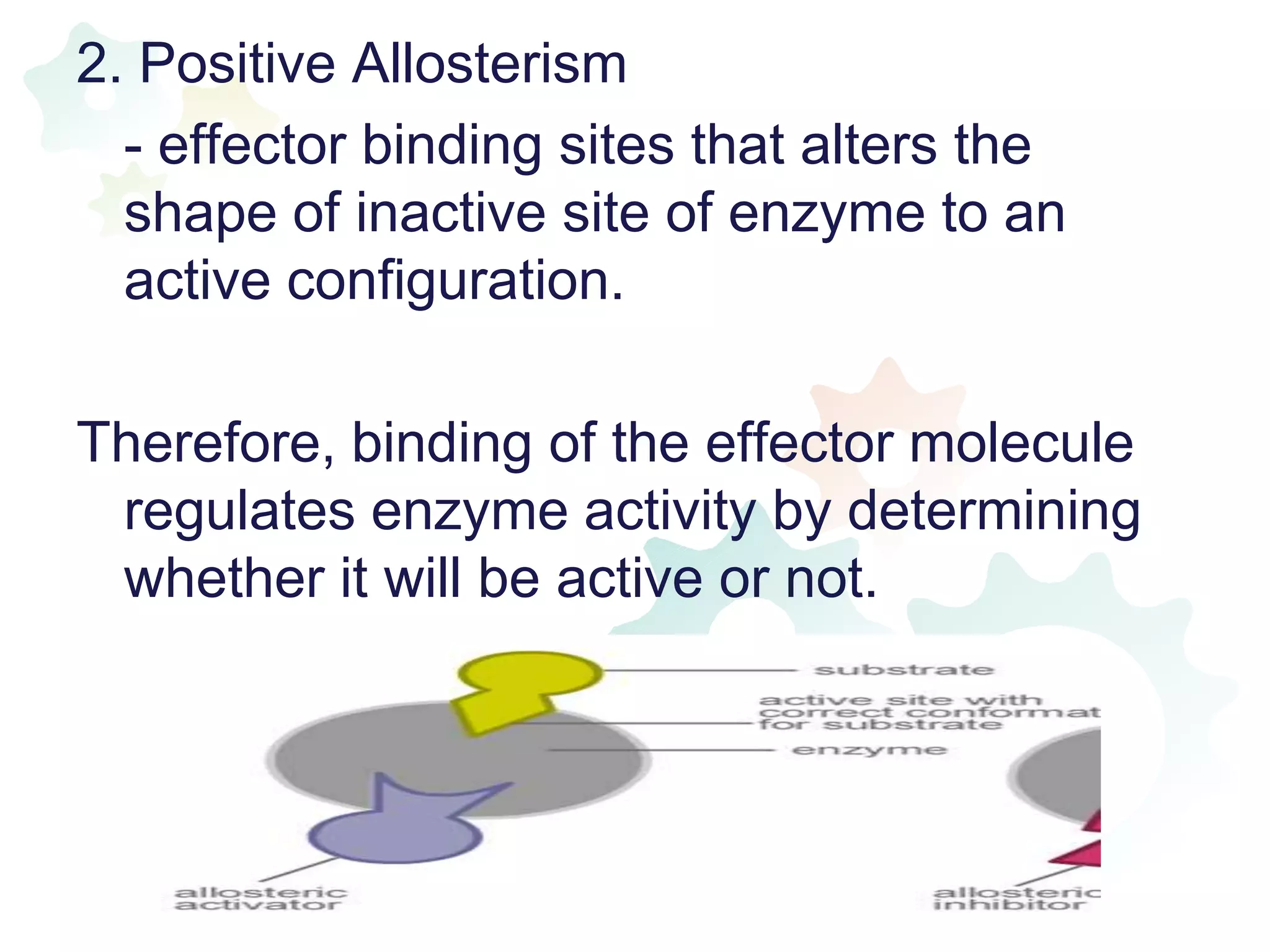 Regulation of enzyme activity | PPTX