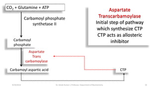 Regulation of enzyme activity | PPTX